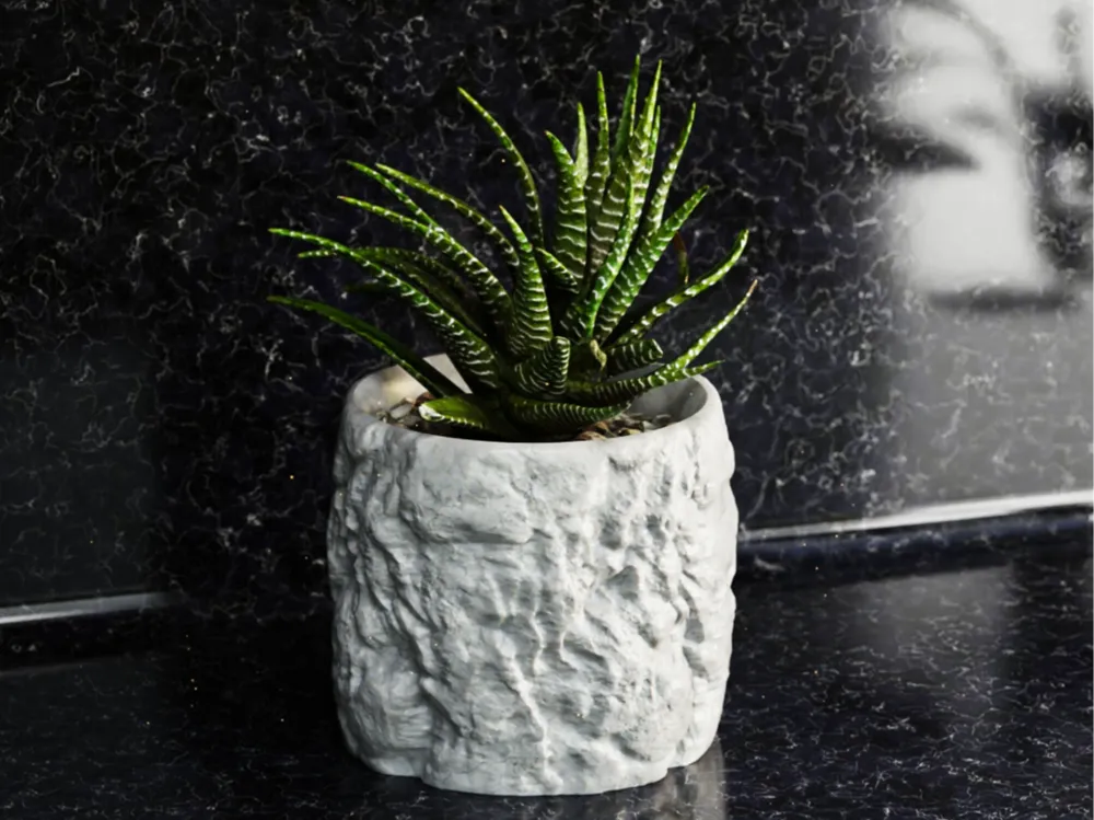 Rock flower pot 5 by uni3Dworld - MakerWorld