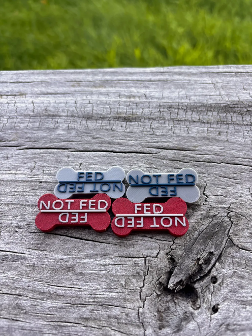 Customizable Pet Fed Reminder Fridge Magnet by DunceTree - MakerWorld