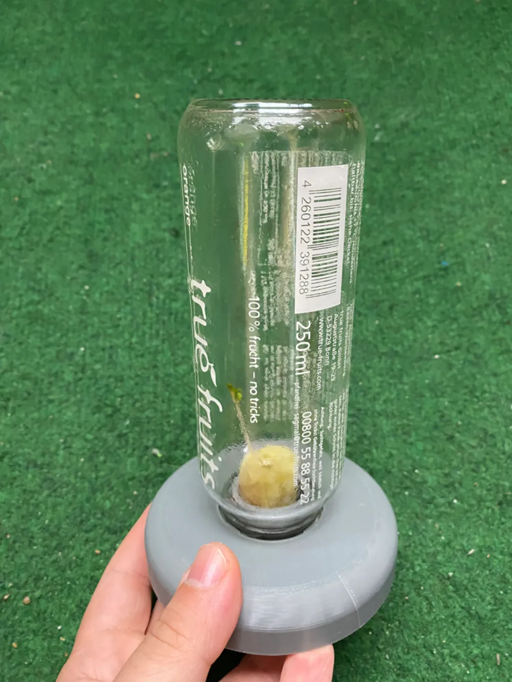 True Fruits closed Seed container by pbaerthel - MakerWorld