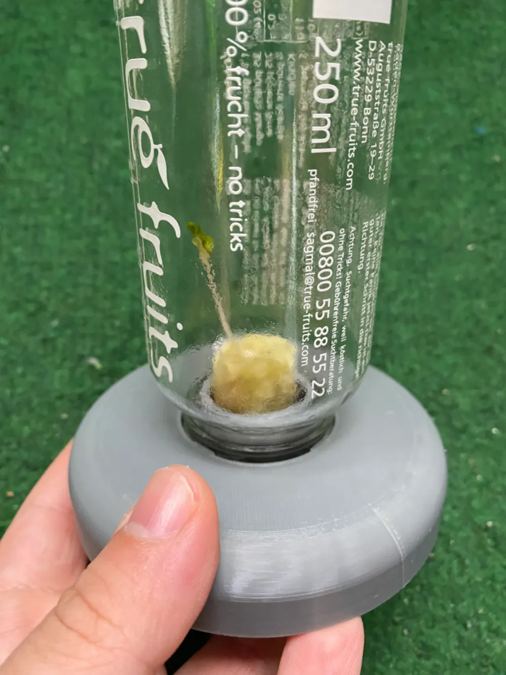 True Fruits closed Seed container by pbaerthel - MakerWorld
