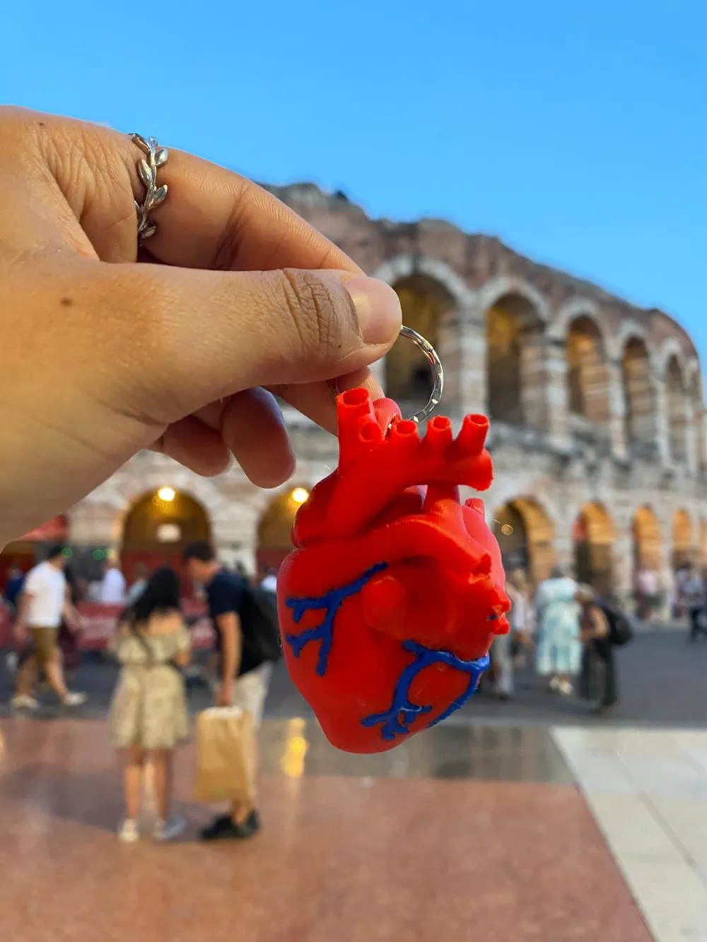 Anatomical Heart Keychain Remixed by 3T_printers - MakerWorld