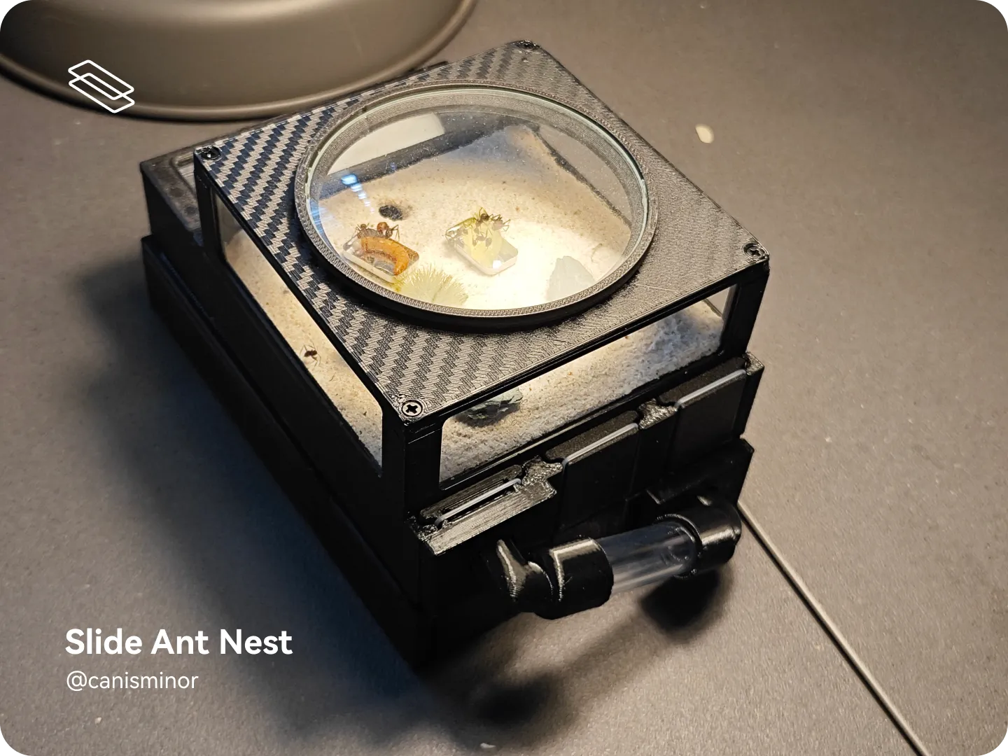 Slide Ant Nest - H1 (Nest Hub) by CanisMinor MakerWorld: Download Free ...