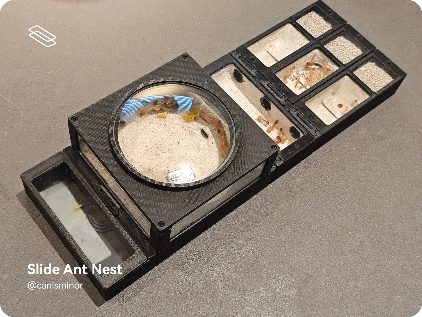 Slide Ant Nest - H1 (Nest Hub) by CanisMinor MakerWorld: Download Free ...