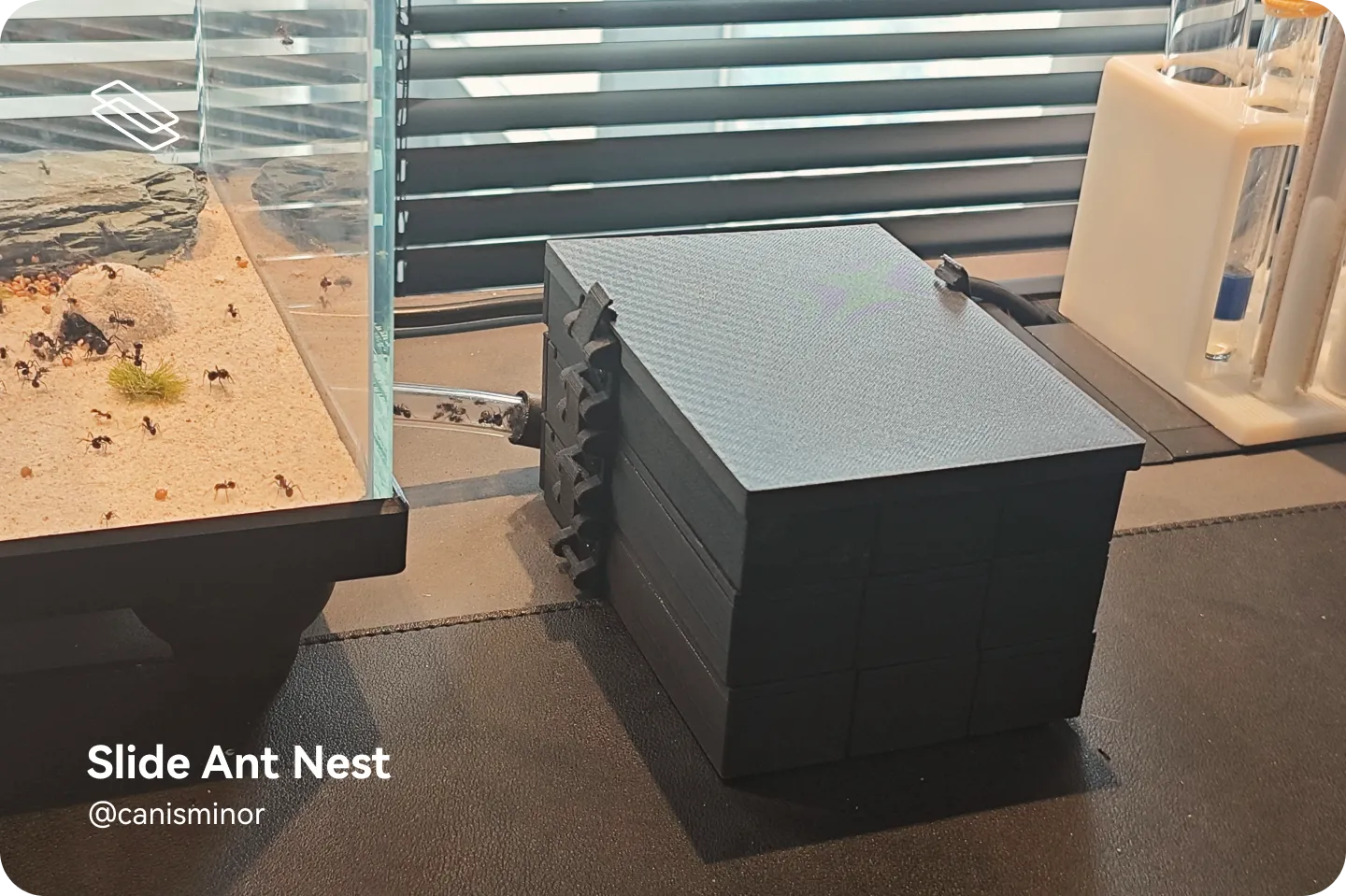 Slide Ant Nest - Test Tube Module by CanisMinor MakerWorld: Download ...