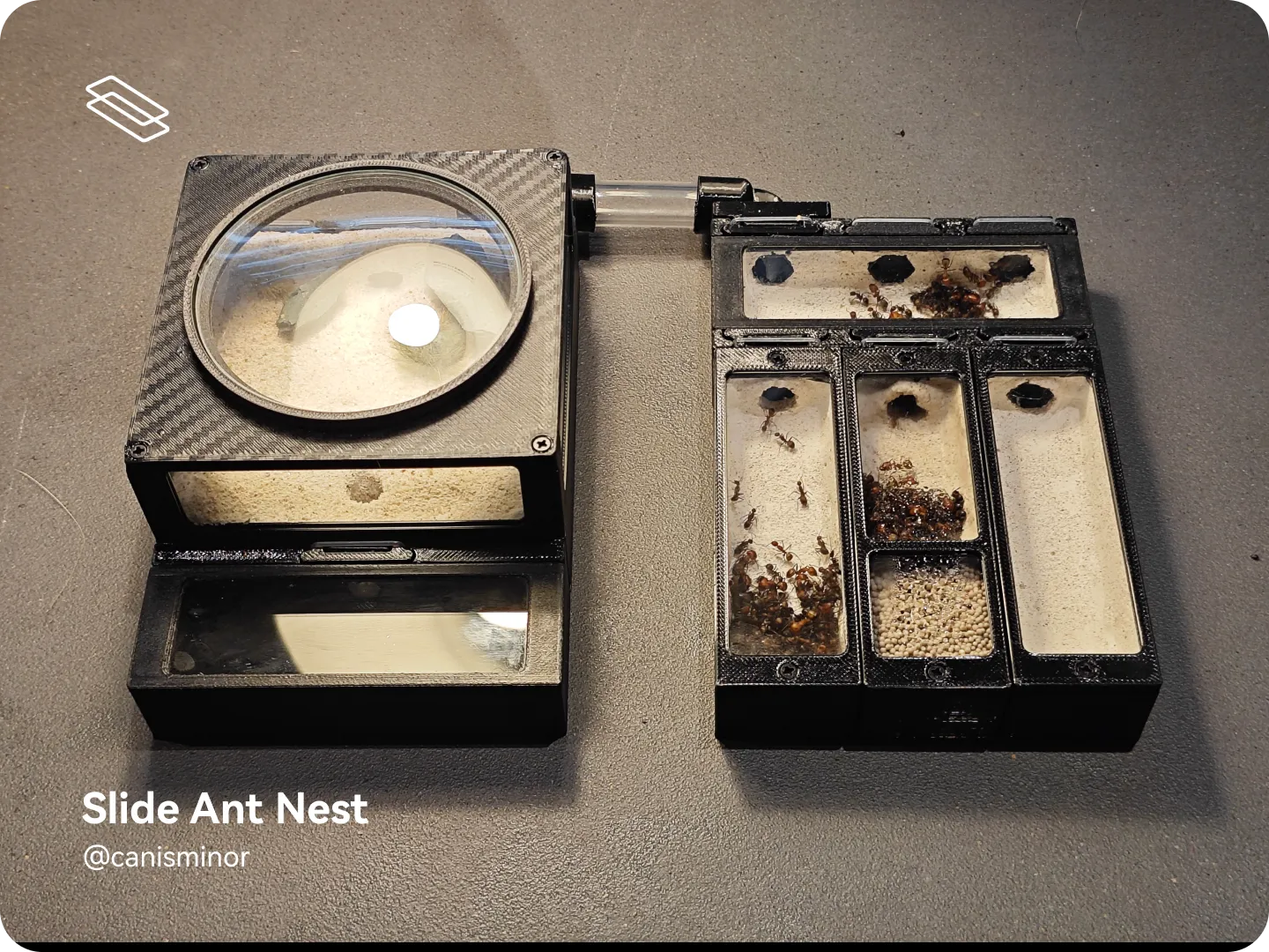 Slide Ant Nest - Test Tube Module by CanisMinor MakerWorld: Download ...