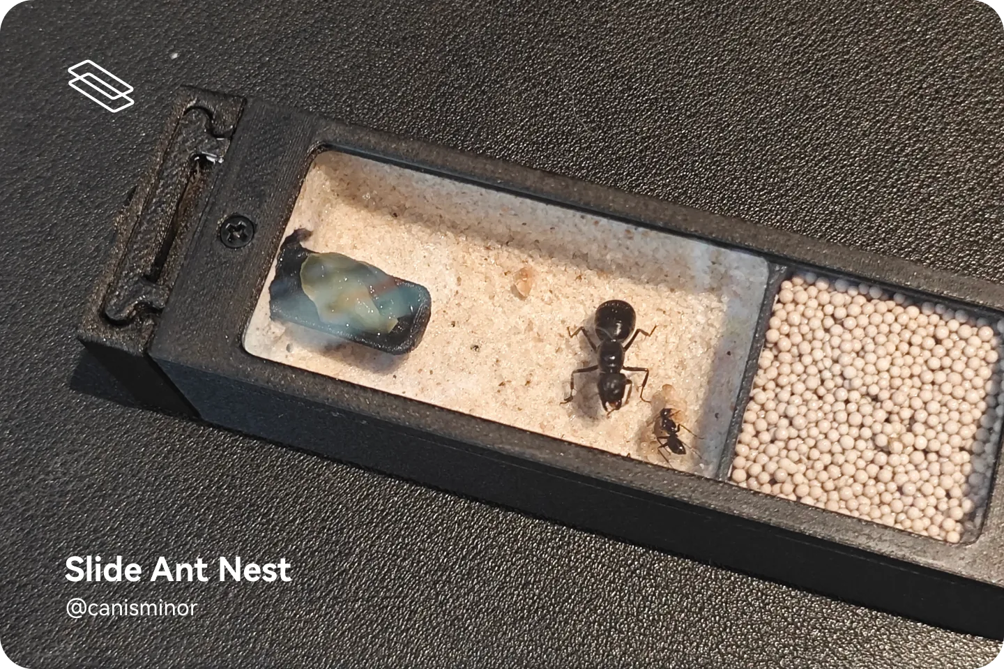 Slide Ant Nest - Test Tube Module by CanisMinor MakerWorld: Download ...