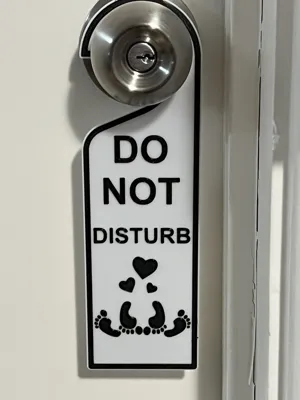 Do Not Disturb 3D Printer Sign by rivmcneill - MakerWorld