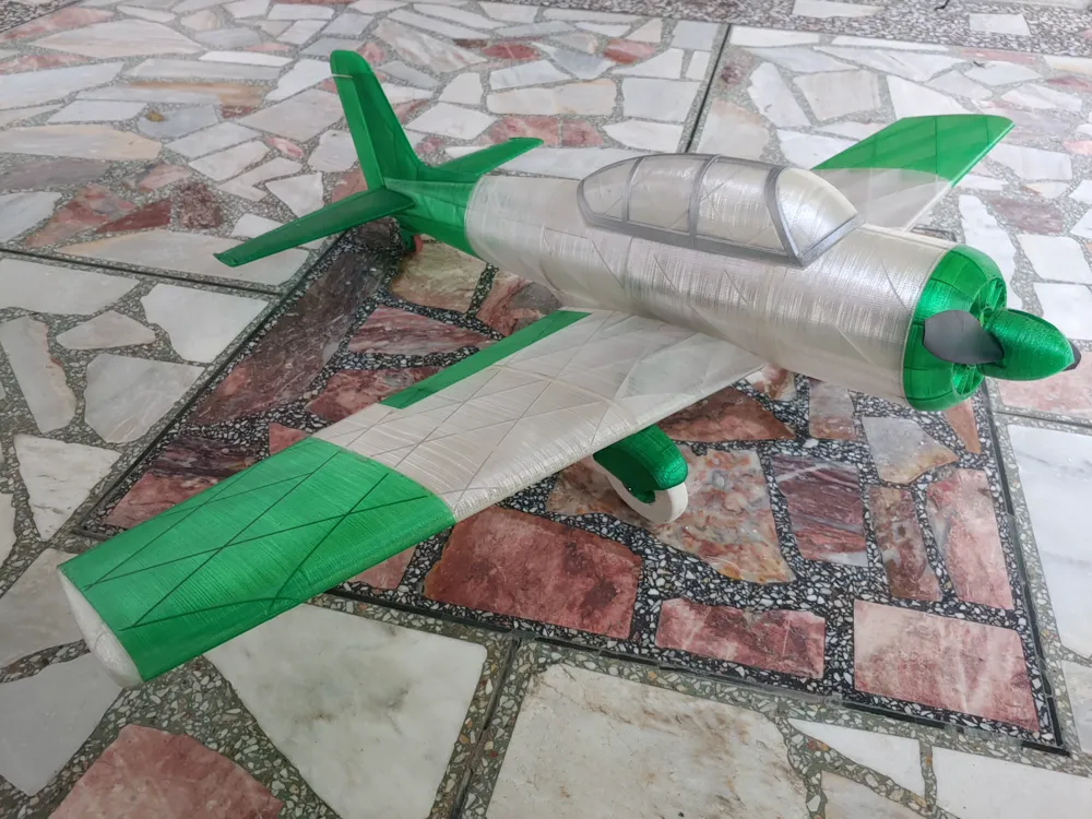 3D printed RC Plane (Recycled PET filament) - Free 3D Print Model ...