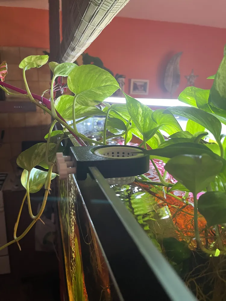 Fish tank water diffuser - Free 3D Print Model - MakerWorld