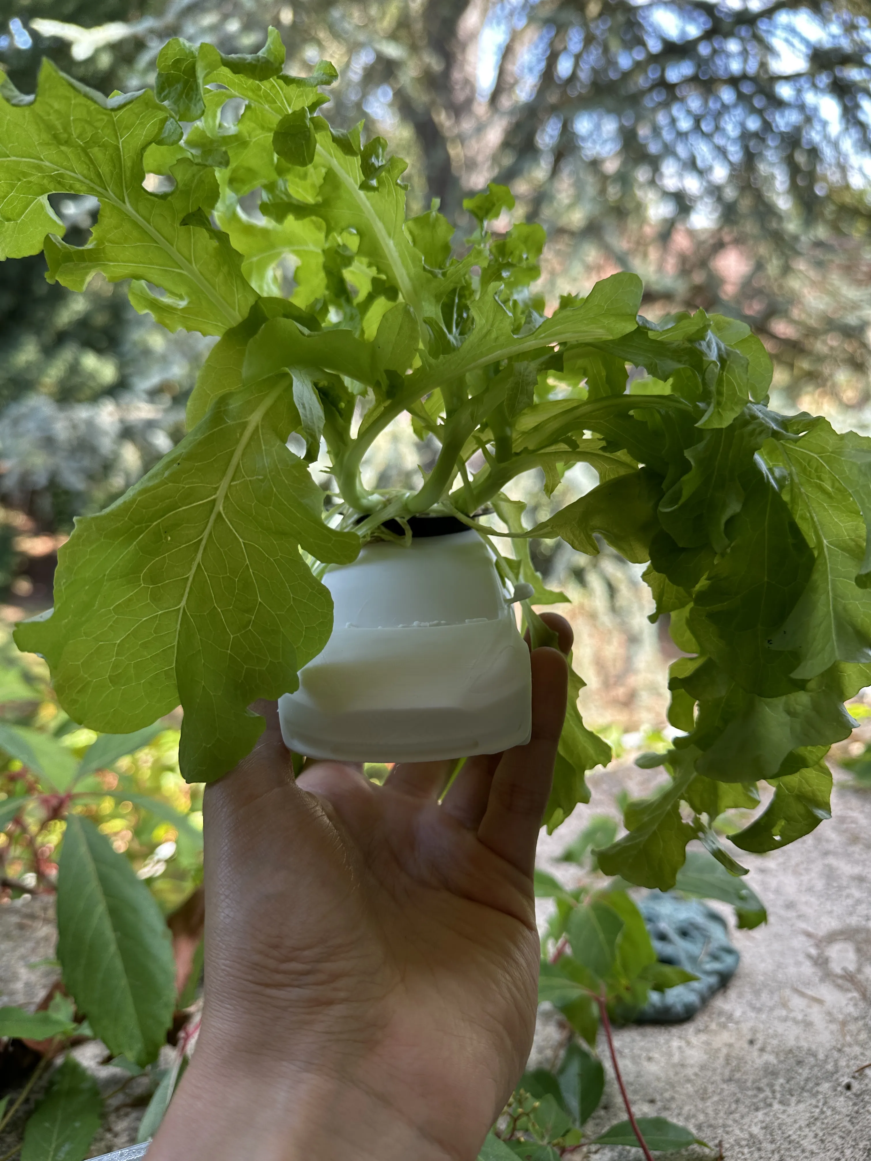 Tesla planter by Perinhoo - MakerWorld