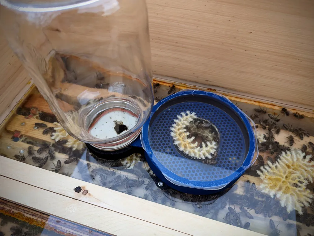 Foulds Feeder 1000 (In-hive mason jar bee feeder) by Ian Foulds ...