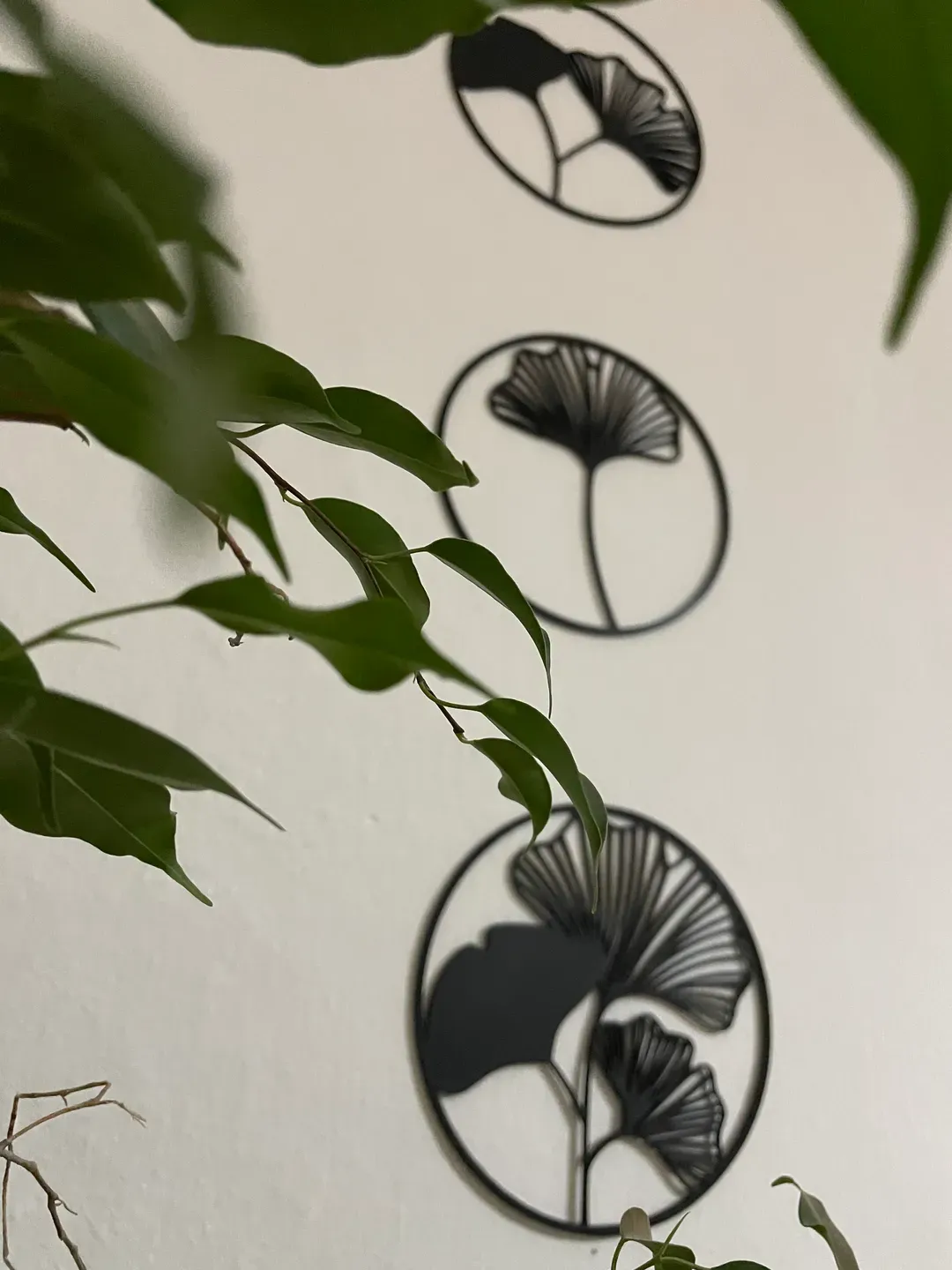Ginkgo biloba wall decoration by Sysel94 - MakerWorld
