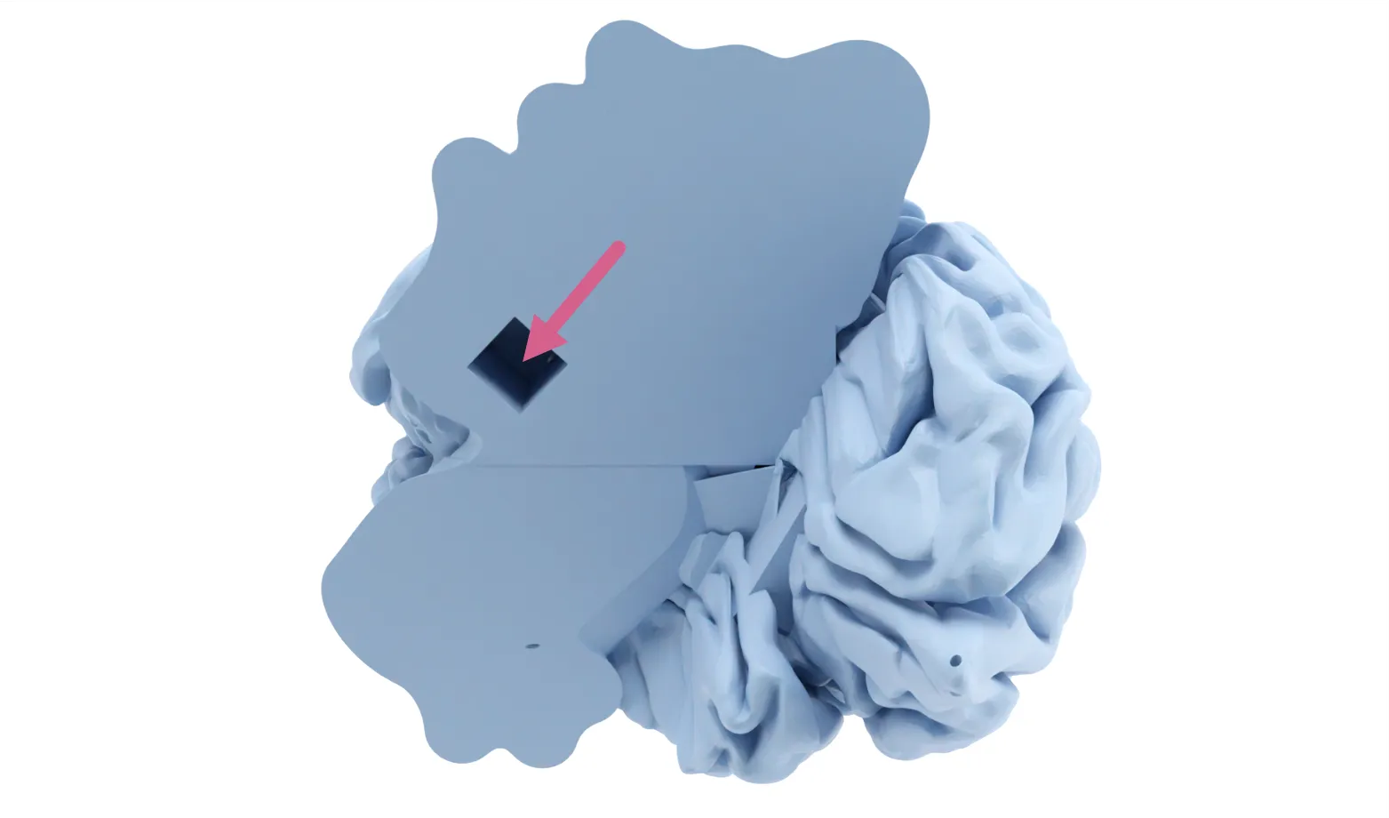 Melting Brain - Decoration for Classroom or Desk - Free 3D Print Model ...