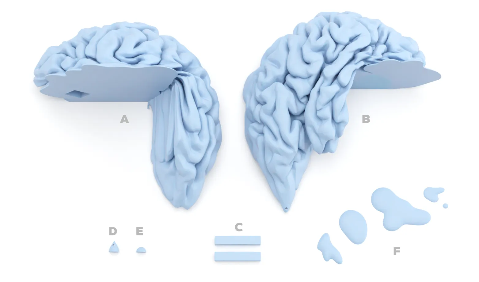 Melting Brain - Decoration for Classroom or Desk - Free 3D Print Model ...