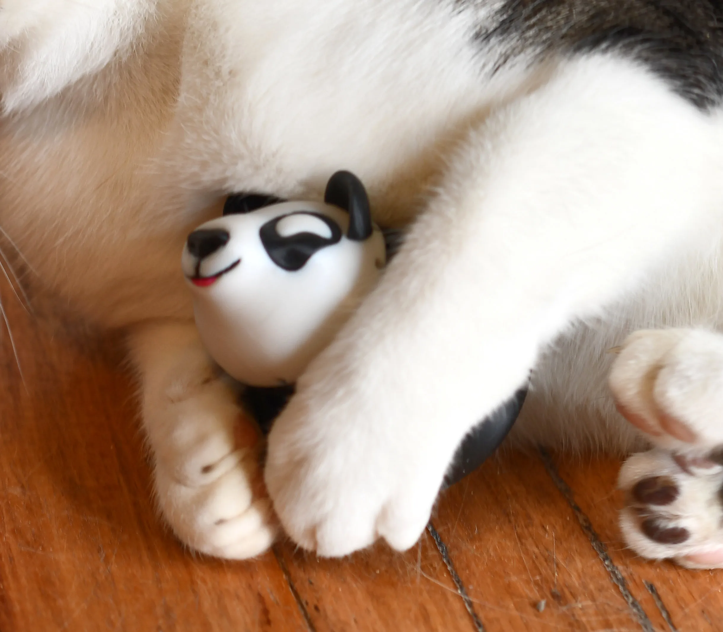 Panda Habitat Play Set by vali MakerWorld: Download Free 3D Models