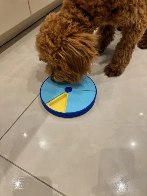 Pet Puzzle - Free 3D Print Model - MakerWorld