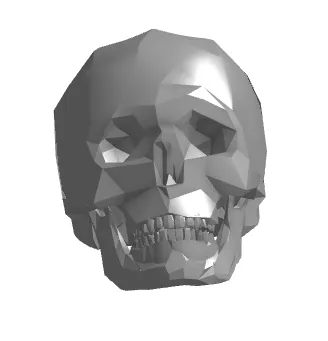 Low Poly Skull Plant Pot 2 Types Remixed by Penguino MakerWorld ...