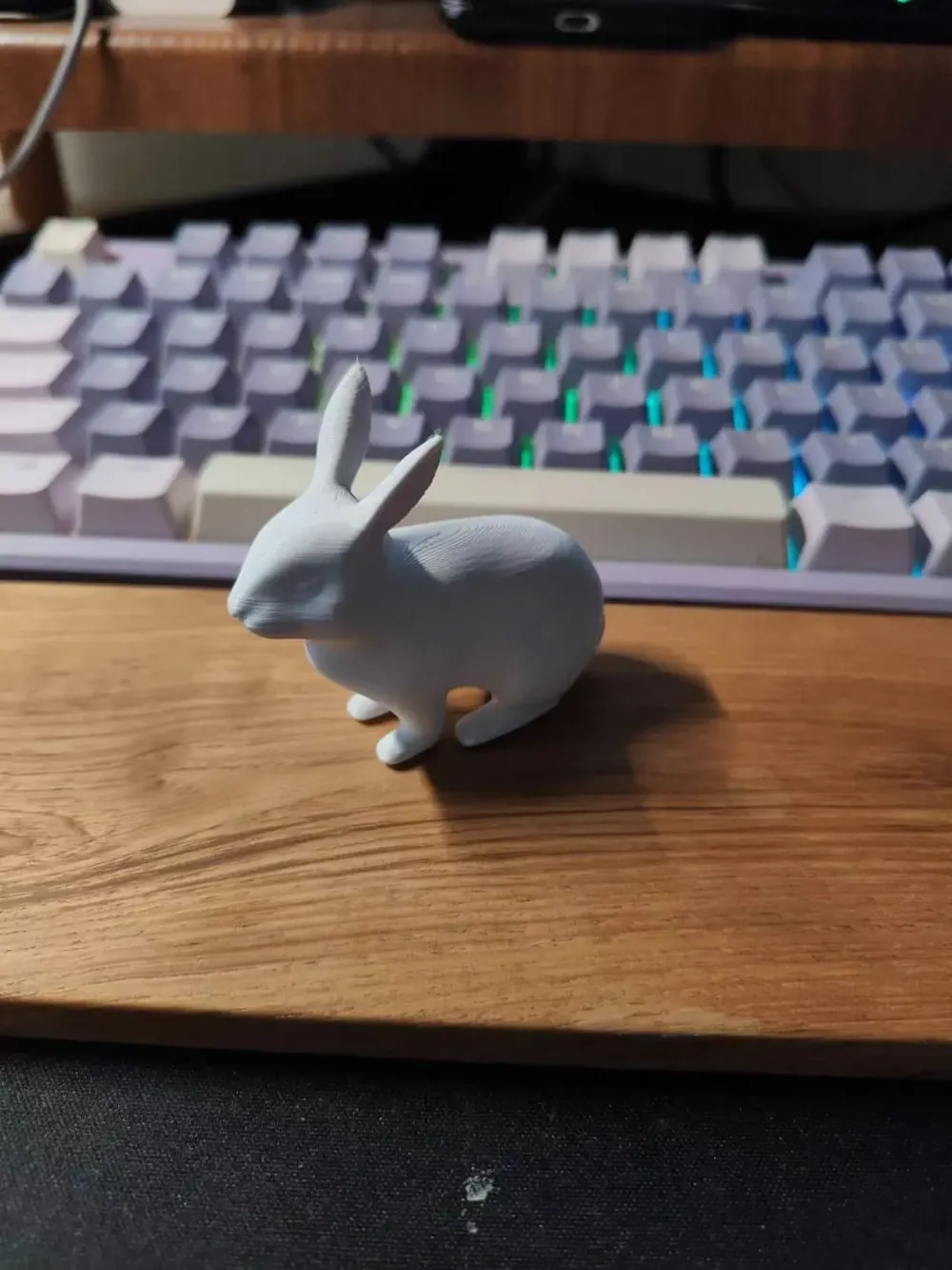 Realistic Rabbit by 锡城筱凯 - MakerWorld