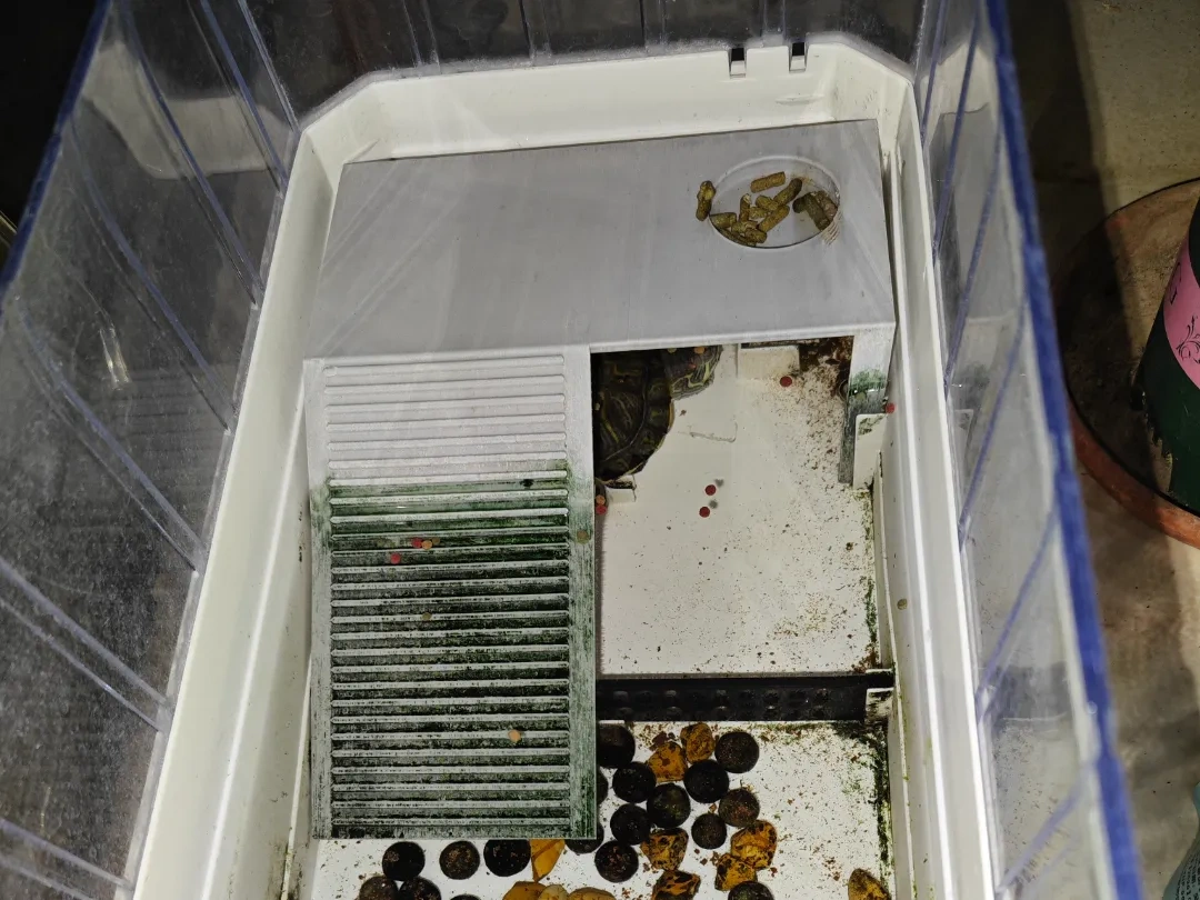 Turtle Pond Basking Platform by user_733534784MakerWorld: Download Free ...