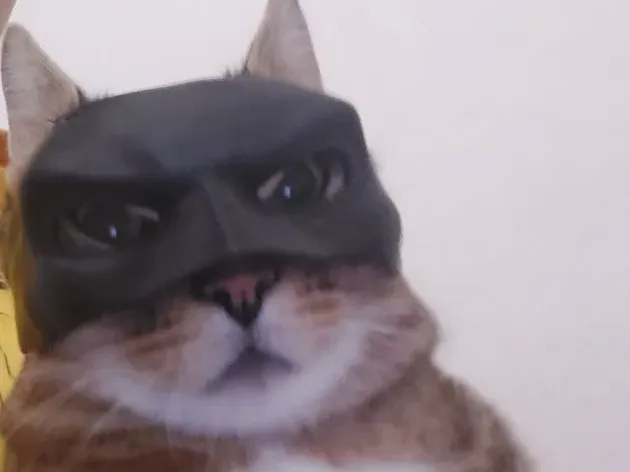 Bat-cat Batman cat mask by saintyura - MakerWorld