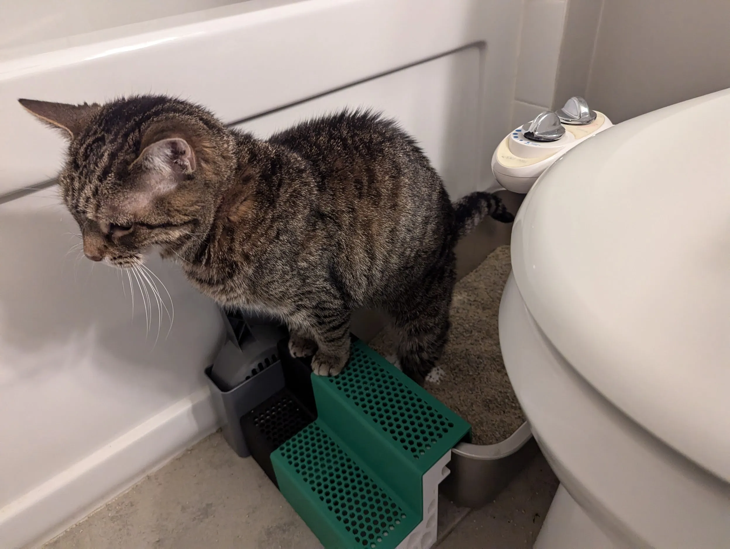 Cat Litter Box Step aka "The Poop Perch" - Free 3D Print Model - MakerWorld