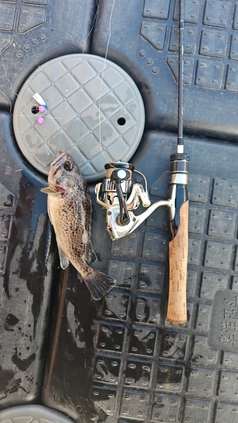 Texas Rig / Carolina Rig Bead V3 by nigkclub - MakerWorld