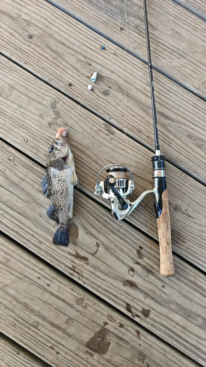 Texas Rig / Carolina Rig Bead V3 by nigkclub - MakerWorld