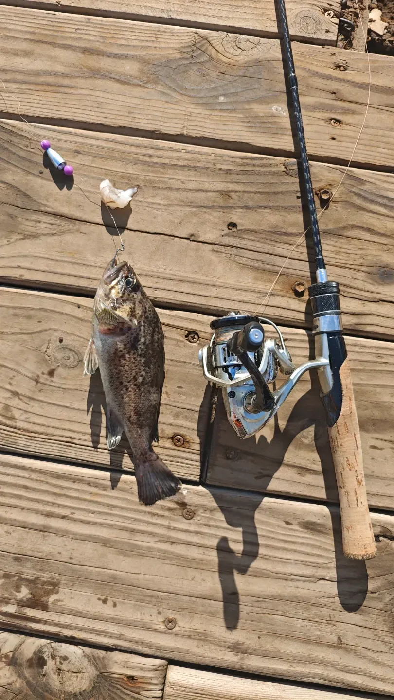 Texas Rig / Carolina Rig Bead V3 by nigkclub MakerWorld: Download Free ...