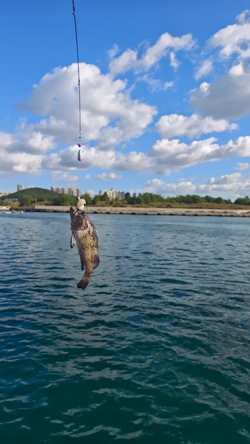 Texas Rig / Carolina Rig Bead V3 by nigkclub MakerWorld: Download Free ...