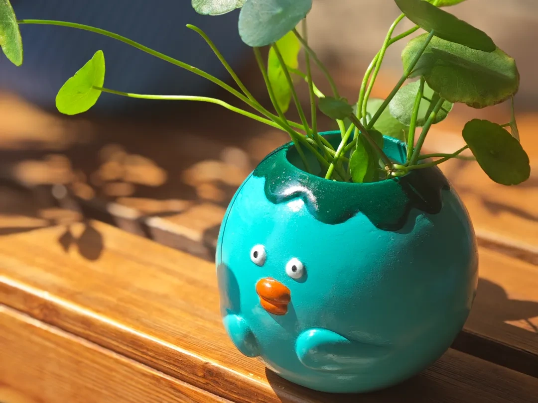 Miniature Kappa Flower Pot for Succulents and Aquatic Plants, Made by a ...