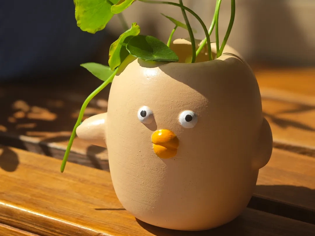 Adorable mini duck planter for succulent and aquatic plants made by a ...
