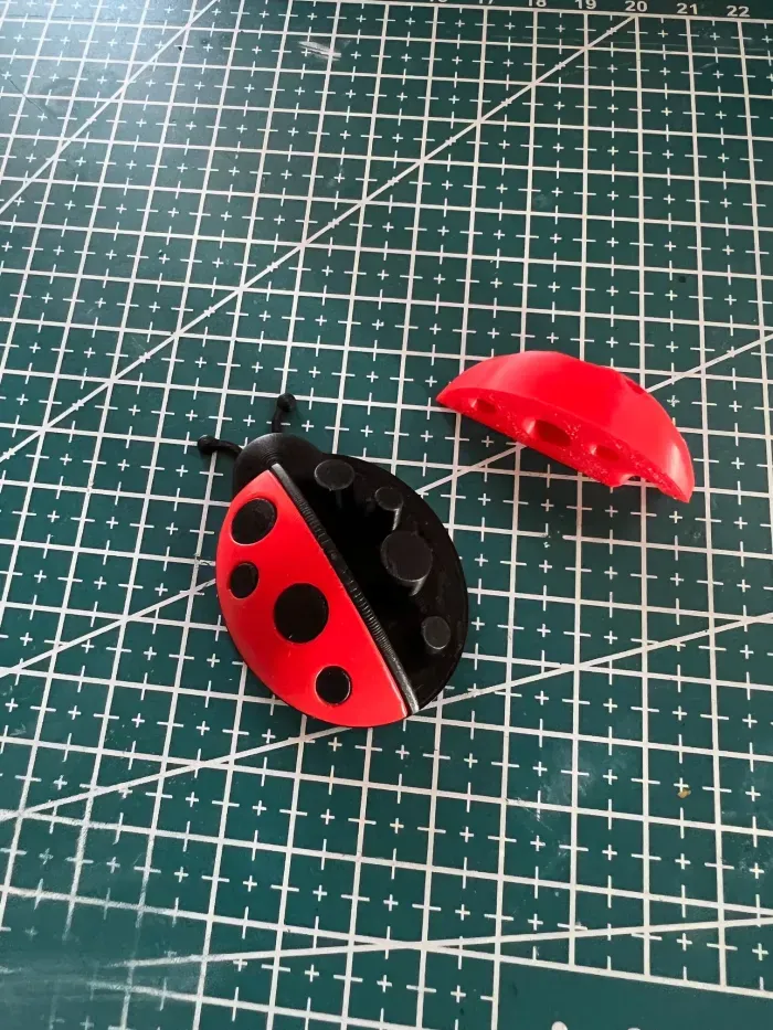 Ladybug magnet by ORSOBRUNO MakerWorld: Download Free 3D Models