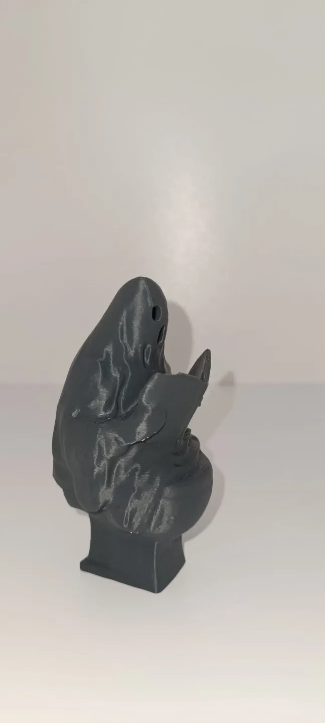 Ghost reading on the toilet by DudeOhneHut - MakerWorld