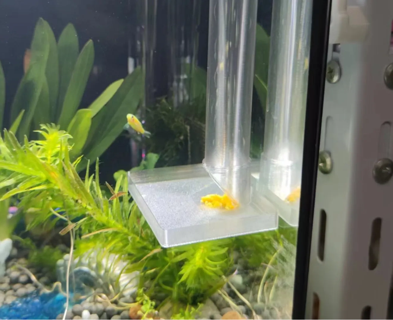 Fish tank feeder by ll MakerWorld: Download Free 3D Models