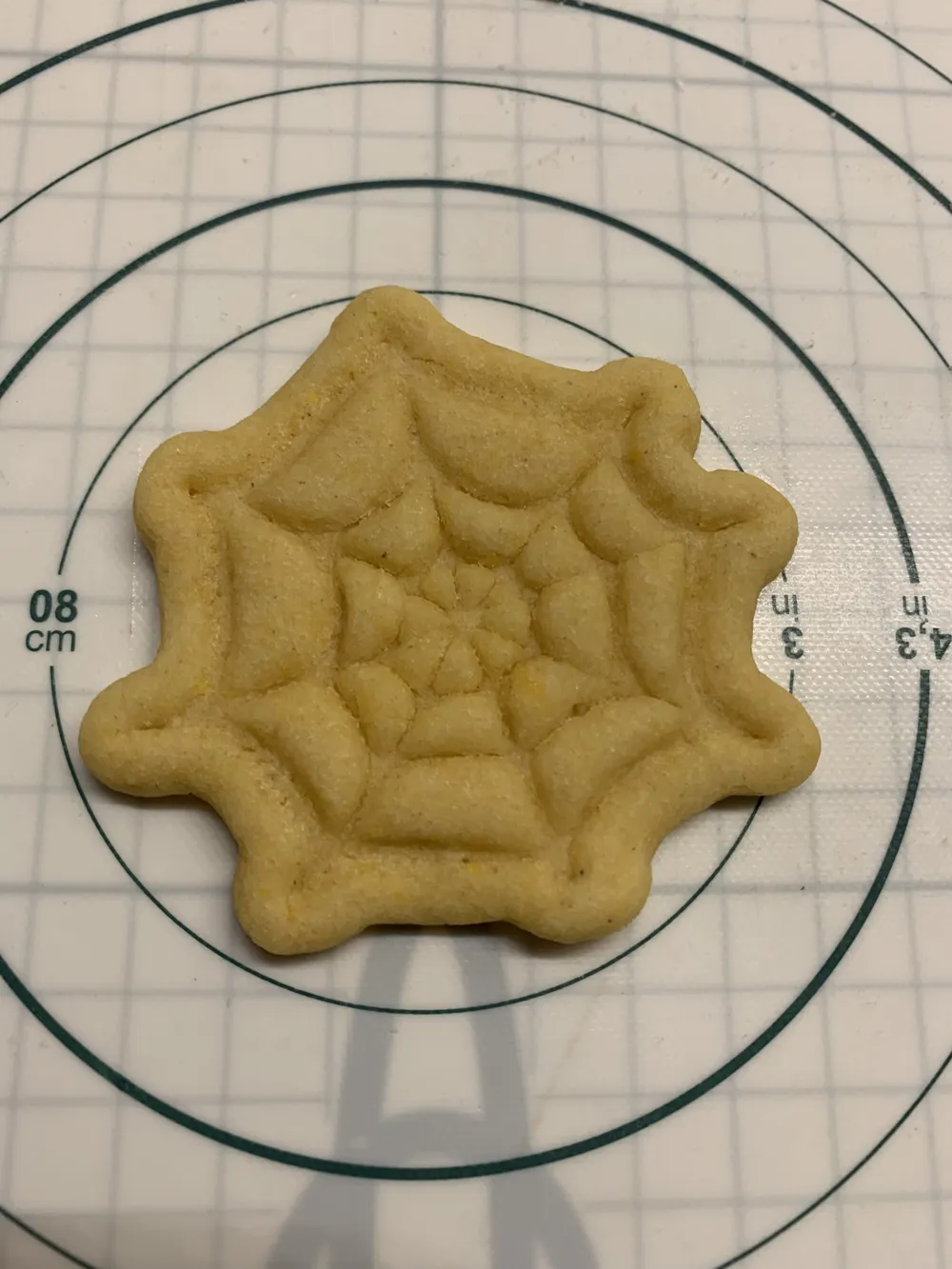 Cobweb cookie cutter by Coarse - MakerWorld