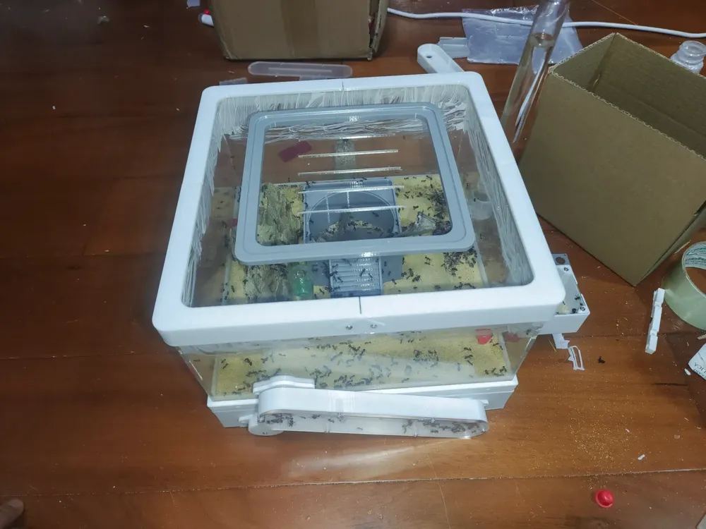 Large Square Folding Ant Nest by user_4153469274 - MakerWorld
