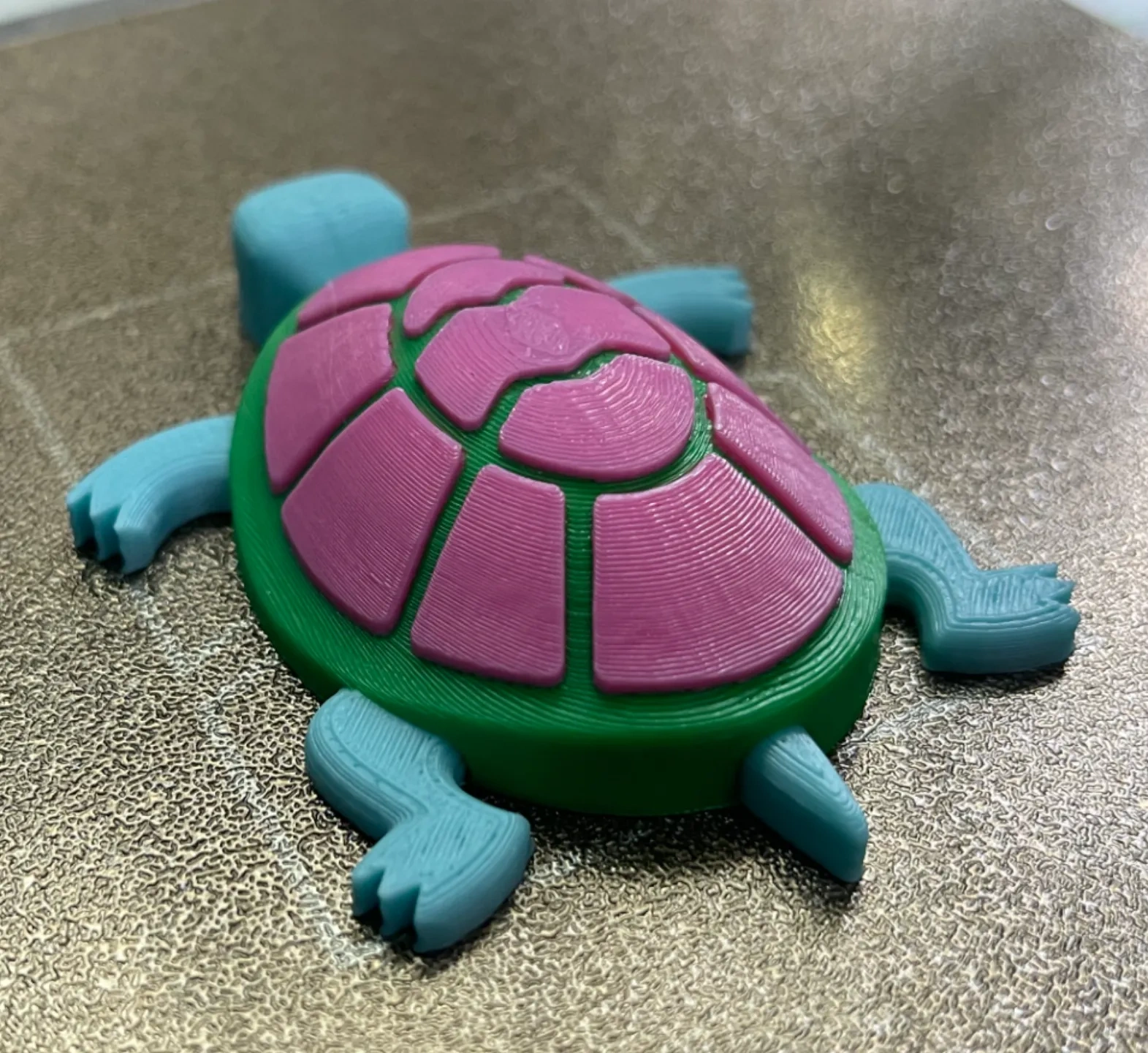 Turtle by 只干饭的实验室 - MakerWorld