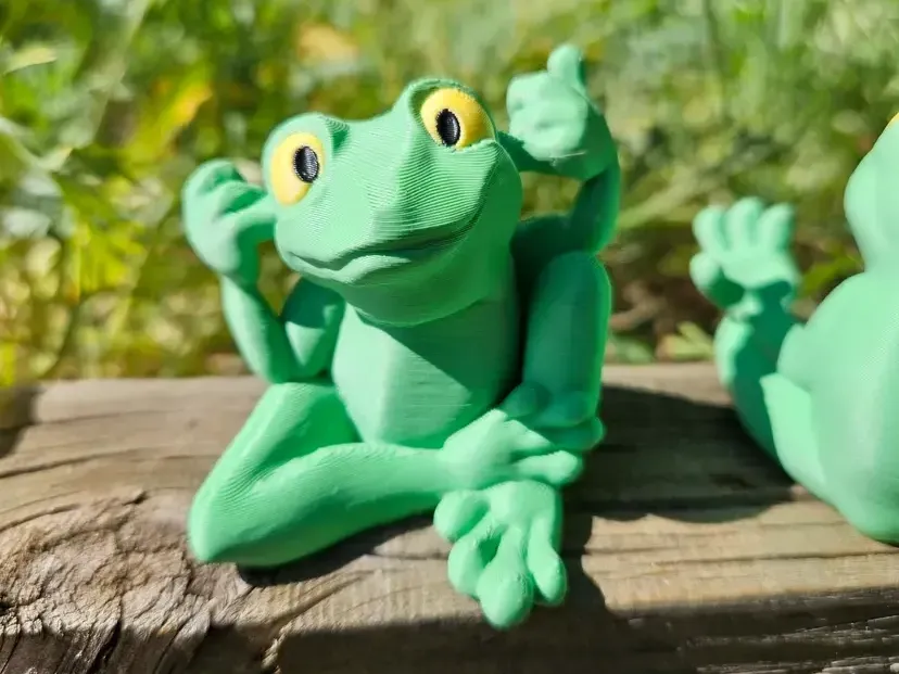 More than six frogs by Carl Zeiss - MakerWorld