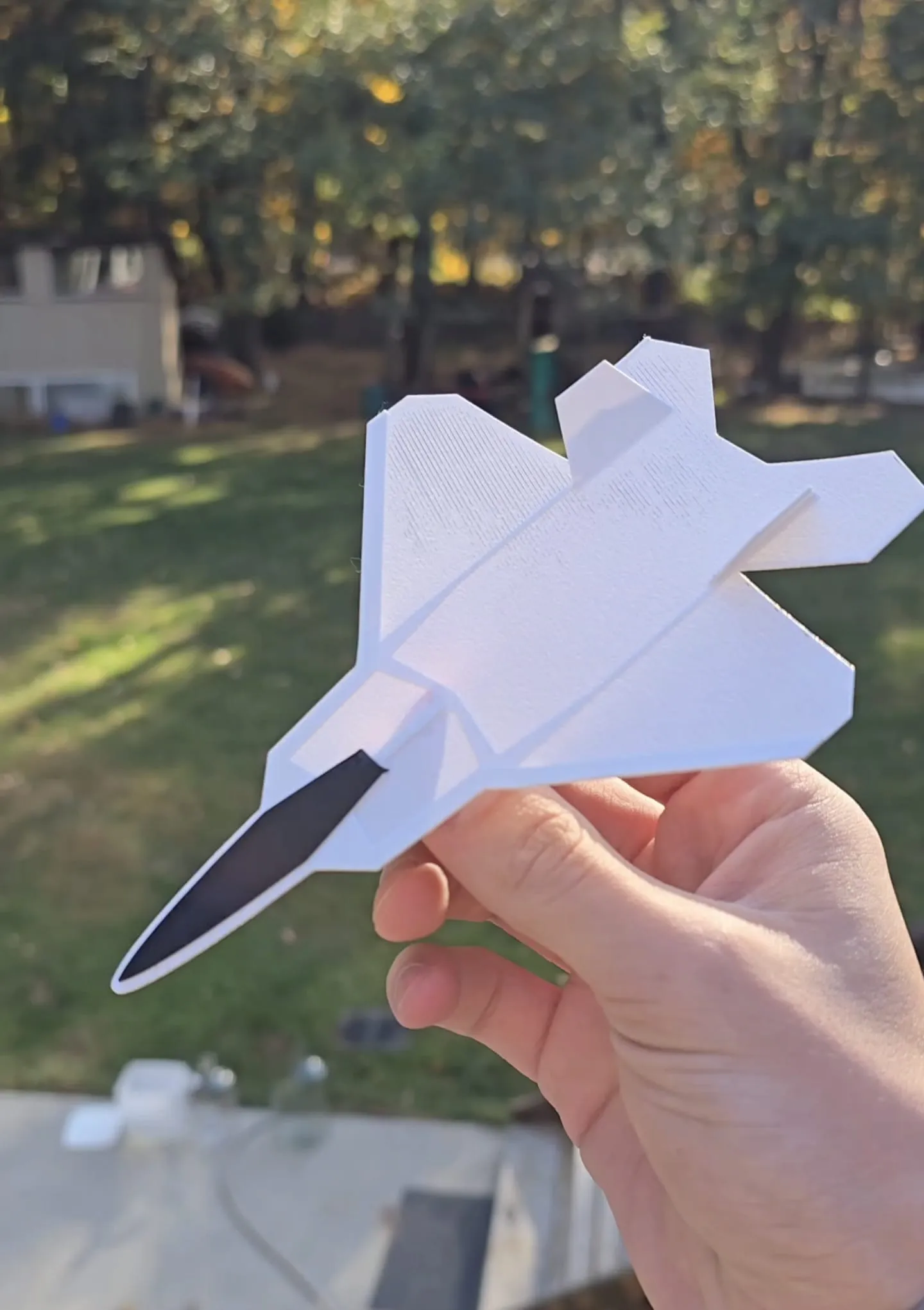 Avatar the last air bender - Aang's glider - Free 3D Print Model ...