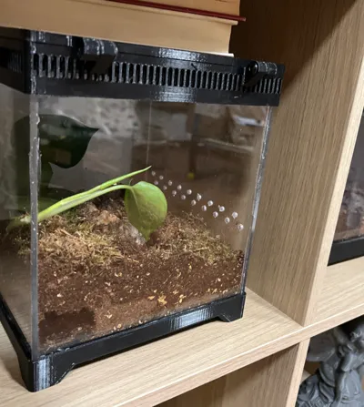 terrarium 3d print model download - MakerWorld