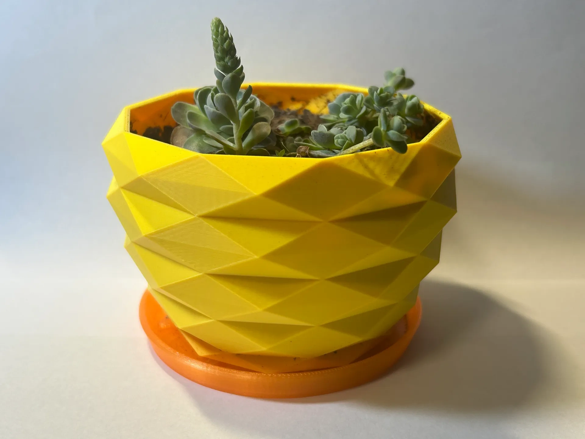 Balcony Pots and Trays: Low Poly Pot 01 by techeditor - MakerWorld