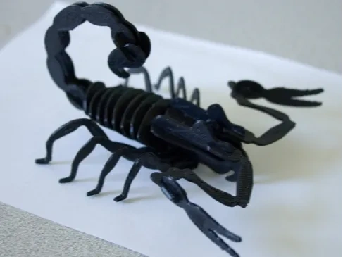 Scorpion model by tpok｜心 - MakerWorld