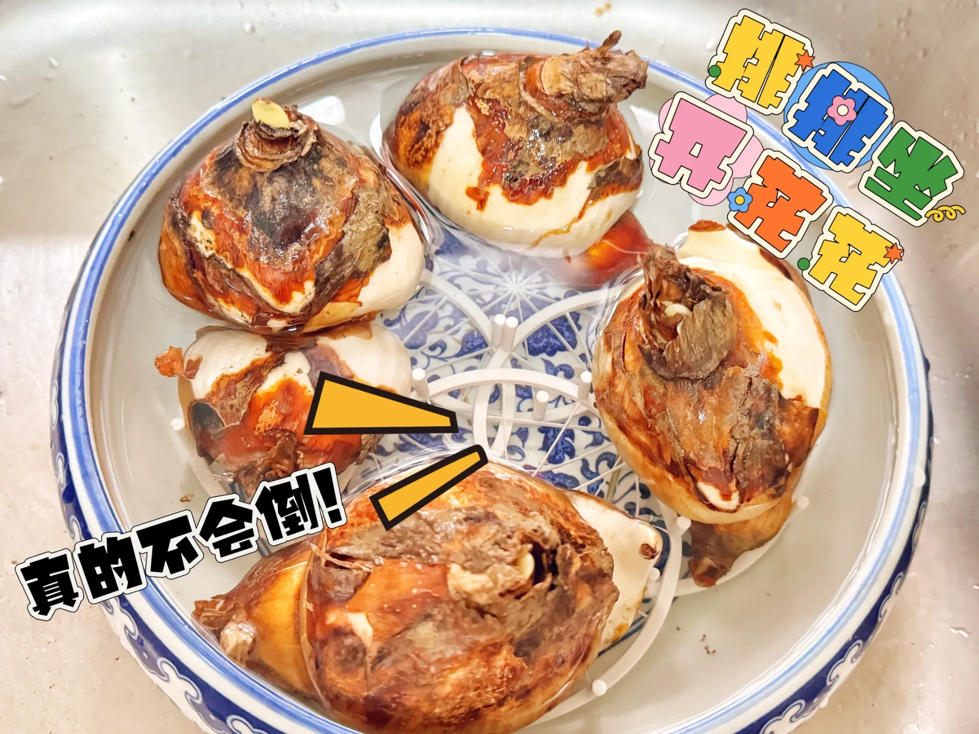 Bulb Plant Hydroponic Anti-Toppling Bracket by user_1102349494 - MakerWorld