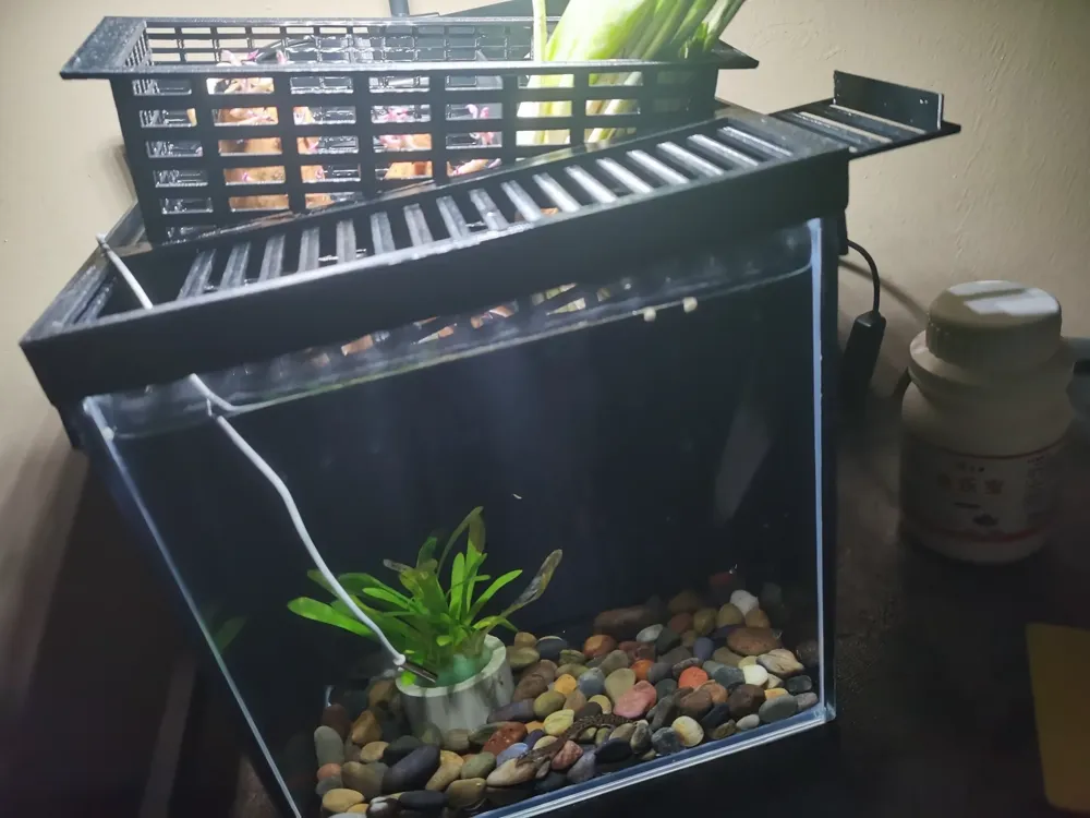 20 Gallon Fish Tank Lid - Anti-Jumping Net - Planter by user_830440690 ...