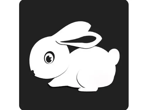 Infant Early Education Flash Cards - Little White Rabbit - Free 3D ...