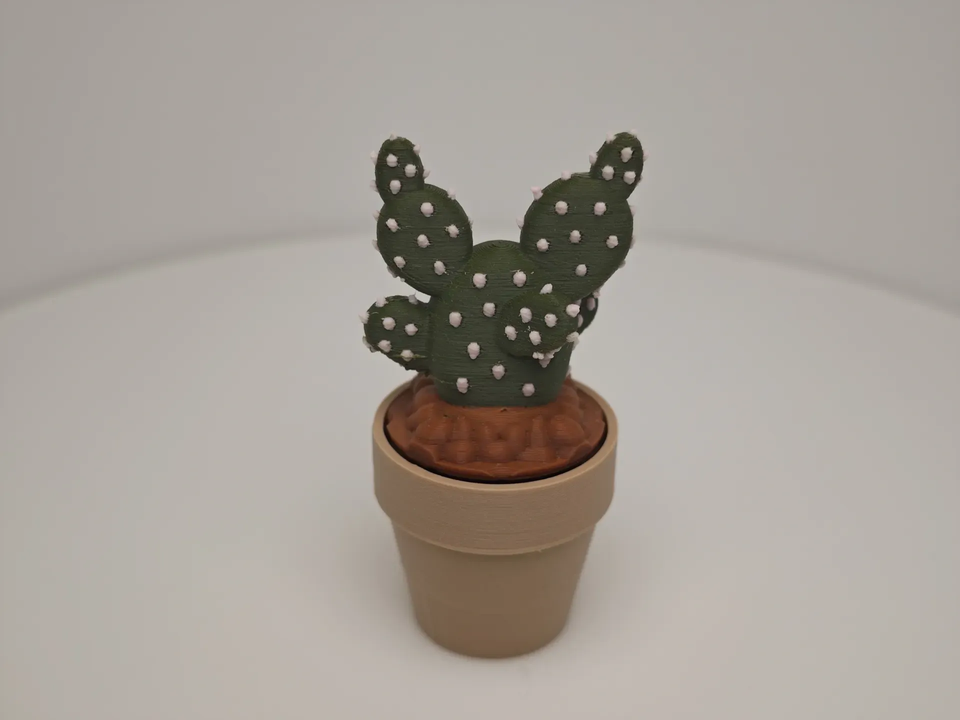 Succulent Fidget Toy Design: Cactus and Echinocactus by Digital 365 ...