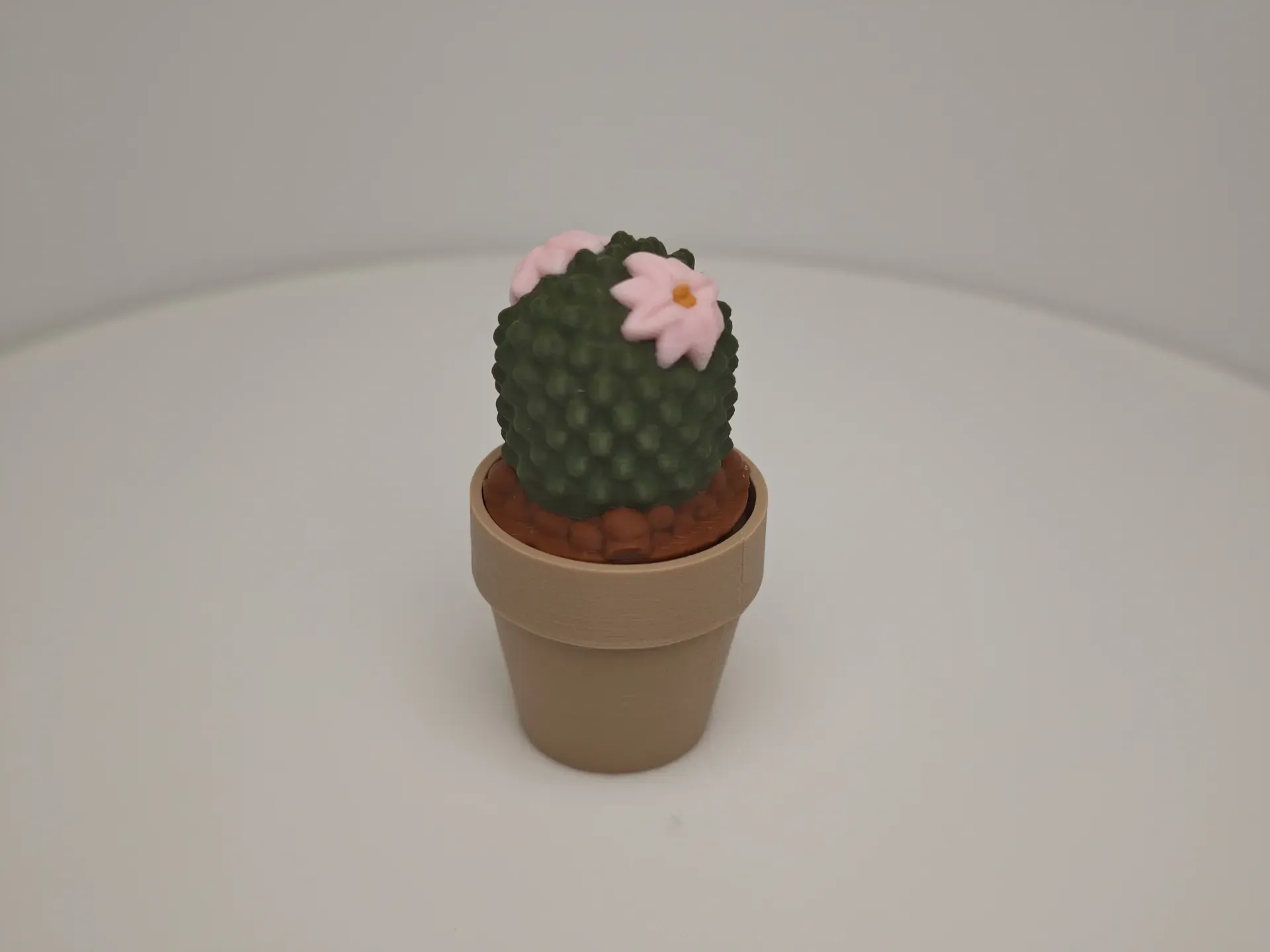 Succulent Fidget Toy Design: Cactus and Echinocactus by Digital 365 ...