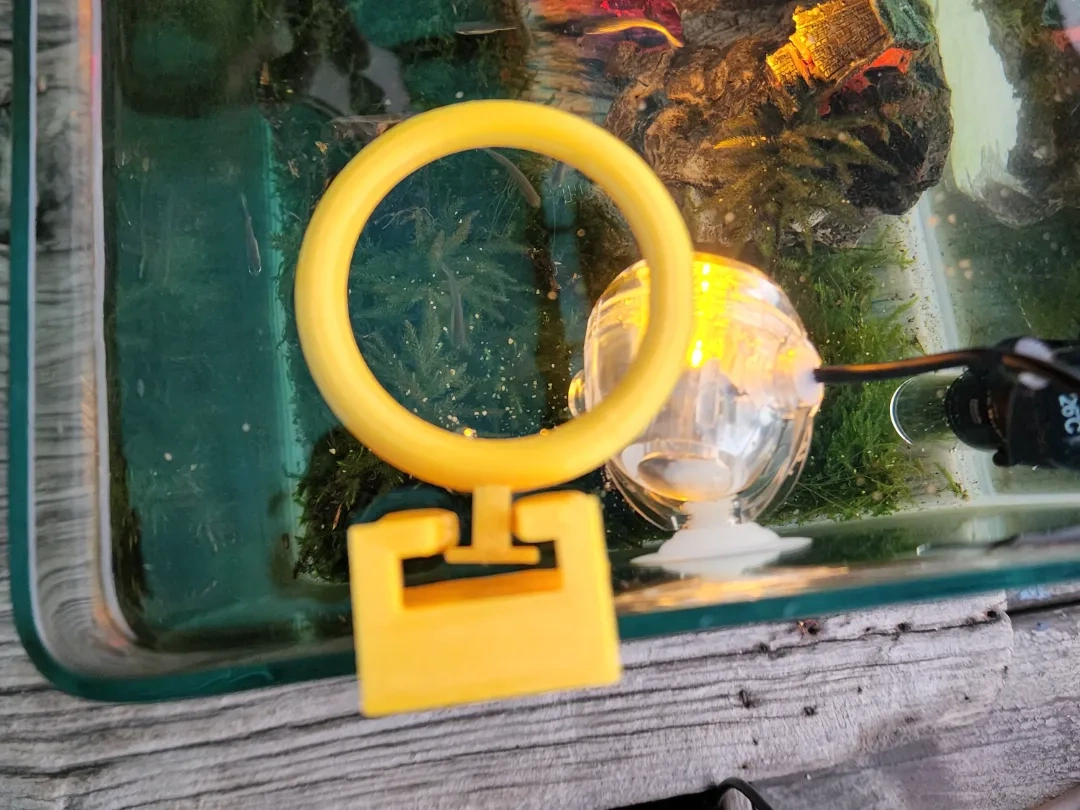 Fish Tank Automatic Feeder by 古点3D MakerWorld: Download Free 3D Models