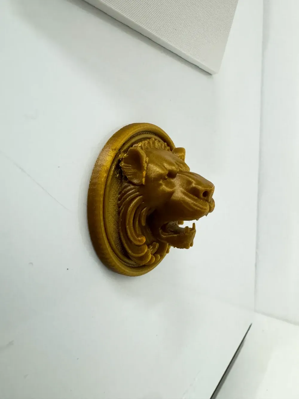 Lion Refrigerator Magnet by 天天向上 - MakerWorld