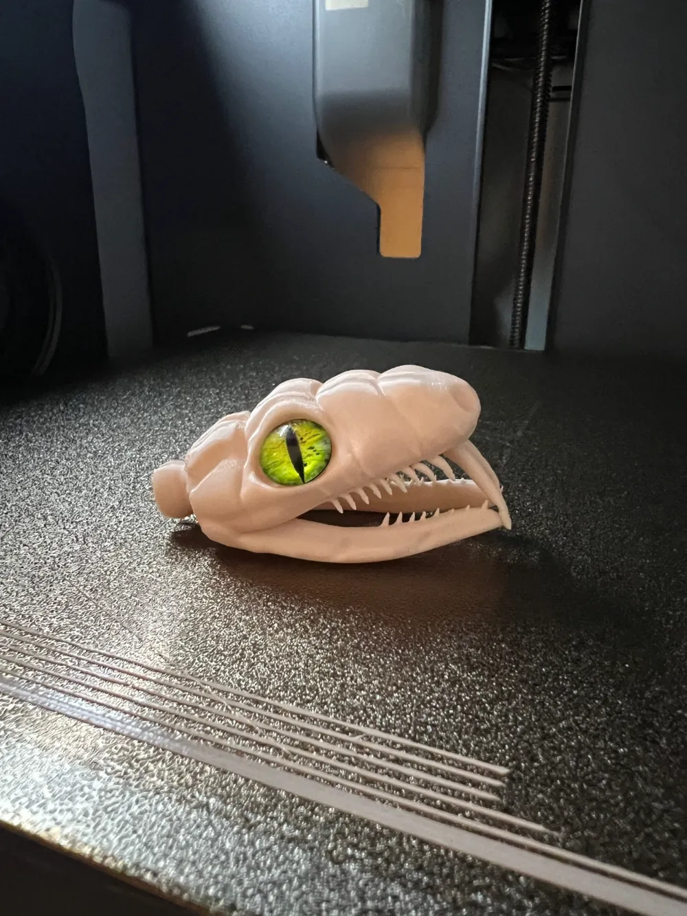 Articulated Snake Skeleton (Symmetrical Eyes) Remixed by Dexter ...